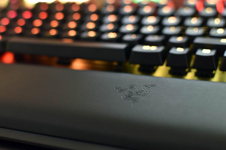 Razer BlackWidow Elite Review - Introduction Razer BlackWidow Elite Review - Introduction